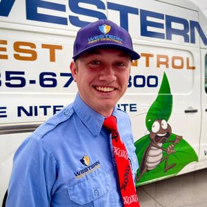 BULWARK EXTERMINATING - Updated September 2025 - 48 Photos & 49 Reviews ...