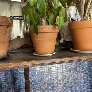 CAFE MUSTACHE - 109 Photos & 262 Reviews - Cafes - 2313 N Milwaukee Ave ...