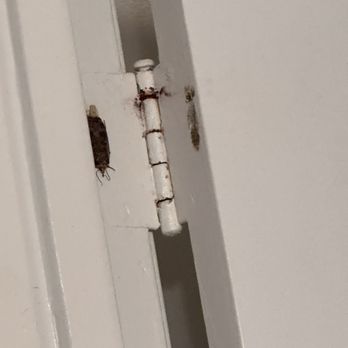 LOVERS POINT INN - Updated January 2025 - 258 Photos & 355 Reviews ...