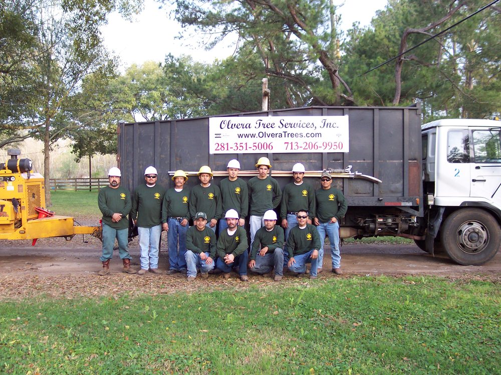 OLVERA LONE STAR TREE SERVICE - Updated August 2025 - 26 Photos - 22423 ...