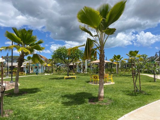 HAWAIIAN HUMANE’S KOSASA FAMILY CAMPUS AT HO’OPILI - Updated December ...