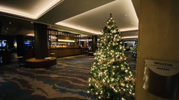 THE WESTIN SEATTLE - Updated April 2025 - 654 Photos & 903 Reviews ...