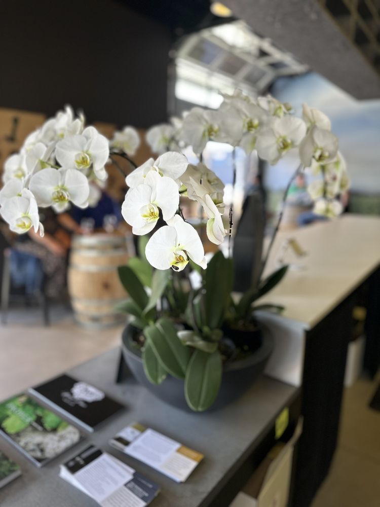 ROTIE CELLARS SODO - Updated December 2025 - 21 Photos & 37 Reviews ...