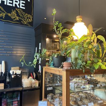 THE OPTIMIST - 176 Photos & 108 Reviews - 1000 Brookside Dr, Raleigh ...