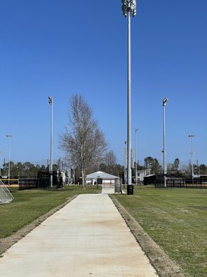 AL TRIONE SPORTS COMPLEX - Updated January 2025 - 40 Photos - 8600 ...