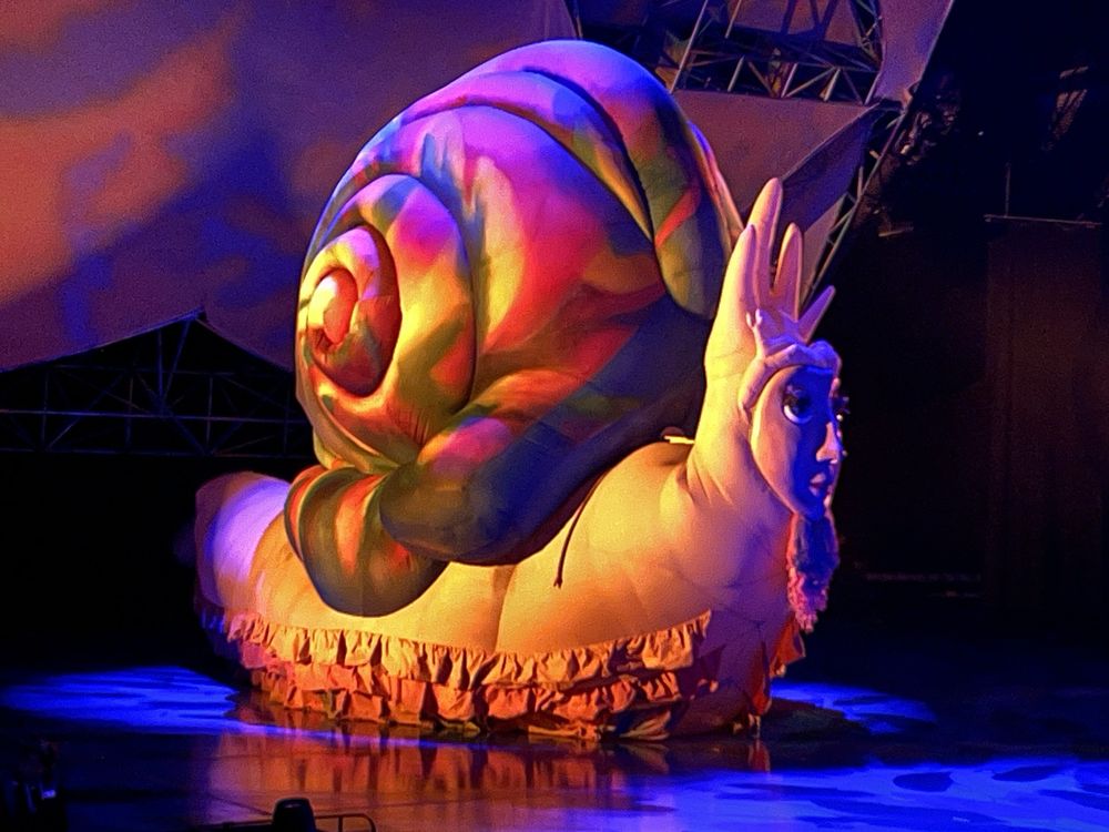 MYSTERE BY CIRQUE DU SOLEIL - Updated April 2024 - 769 Photos & 1243 ...