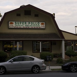 Why did the chicken cross the road?