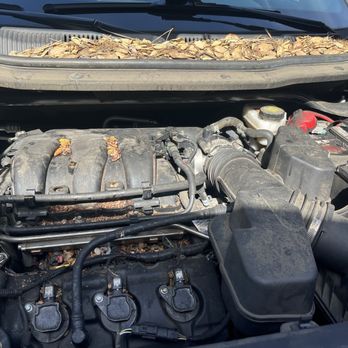 ENVISION FORD LINCOLN - Updated December 2025 - 13 Photos & 74 Reviews ...