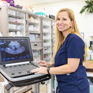 ALII ANIMAL KANEOHE CLINIC - Updated December 2024 - 19 Photos - 45-480 ...