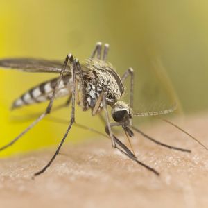 MOYER INDOOR OUTDOOR - Updated December 2024 - 219 Keith Valley Rd ...