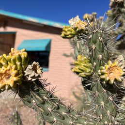 Amigo Cafe - Book a Table - Updated November 2025 - 447 Photos - 471 ...