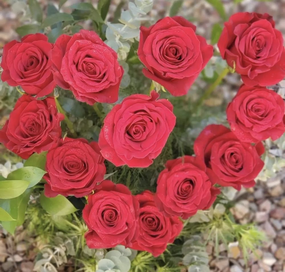 FLOWERLINGO - Updated June 2025 - 29 Photos - Glendale, Arizona ...