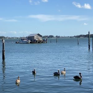 STAR FISH CO SEAFOOD MARKET AND RESTAURANT - 793 Photos & 764 Reviews ...