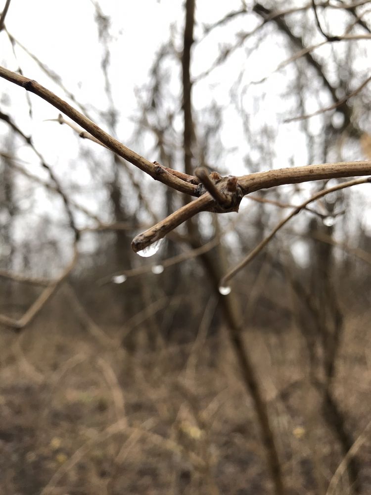 RUSH RUN PARK - Updated January 2026 - 19 Photos - 200 Broadmeadow Blvd ...