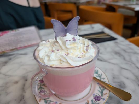 SUGARY CHICAGO - Updated December 2025 - 103 Photos & 59 Reviews - 108 ...