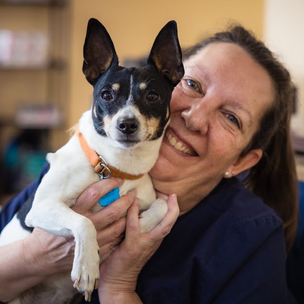 Annette Bader's Instagram, Twitter & Facebook on IDCrawl