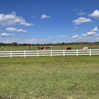 WESTGATE RIVER RANCH RESORT & RODEO - Updated October 2025 - 758 Photos ...