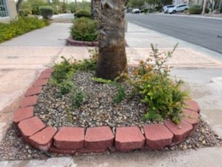 NEVADA COMMUNITY MANAGEMENT - Updated October 2025 - 18 Photos & 66 ...