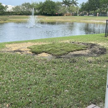 WAVE LANDSCAPING & DESIGN - Updated May 2025 - 68 Photos - Palm Beach ...