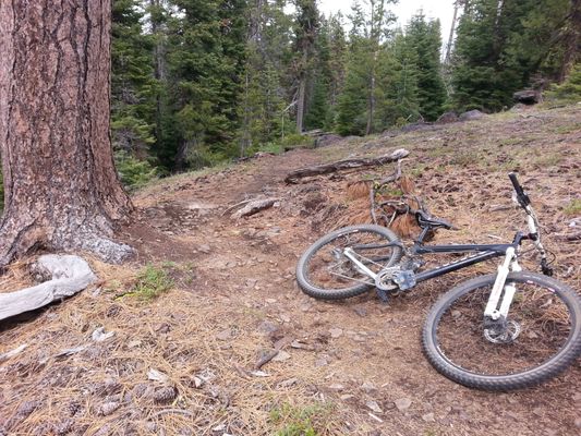 TYLER’S TRAVERSE MOUNTAIN BIKE TRAIL - Updated December 2024 - Conklin Rd, Bend, Oregon ...