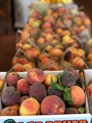 COOPER FARMS COUNTRY STORE - Updated May 2024 - 494 Photos & 245 ...