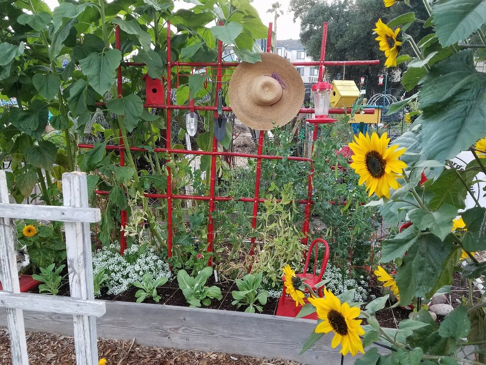 MOSAIC COMMUNITY GARDEN OF CHULA VISTA - Updated July 2025 - 960 5th ...