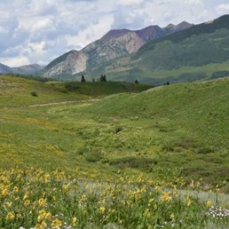 Mike's Camera Reviews | Read Customer Service Reviews of mikescamera.com