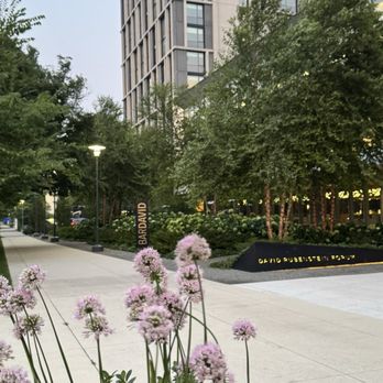 BAR DAVID - Updated December 2025 - 51 Photos & 39 Reviews - 1201 E ...