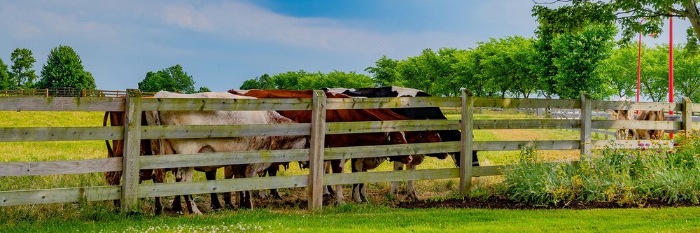 LAKE METROPARKS FARMPARK - Updated July 2024 - 100 Photos & 27 Reviews ...
