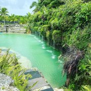 BLUE LAGOON FARM - MIAMI - 32 Photos - 14451 SW 252nd St, Homestead, FL ...