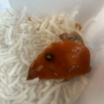 GINGER DIM SUM - Updated March 2025 - 163 Photos & 114 Reviews - 1912 ...