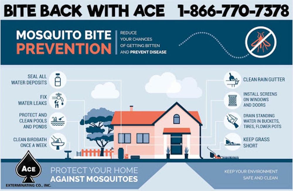 LOOKOUT PEST CONTROL - Updated June 2025 - 23 Photos & 34 Reviews ...