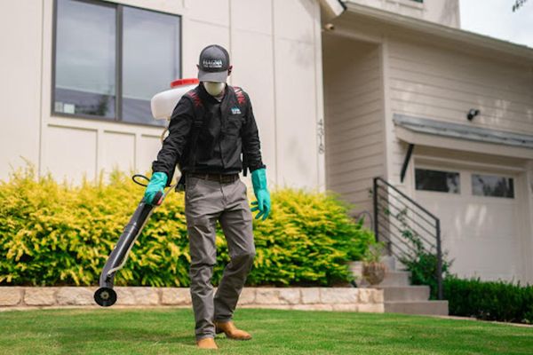 MAGNA PEST SOLUTIONS - Updated December 2025 - 25 Photos & 18 Reviews ...