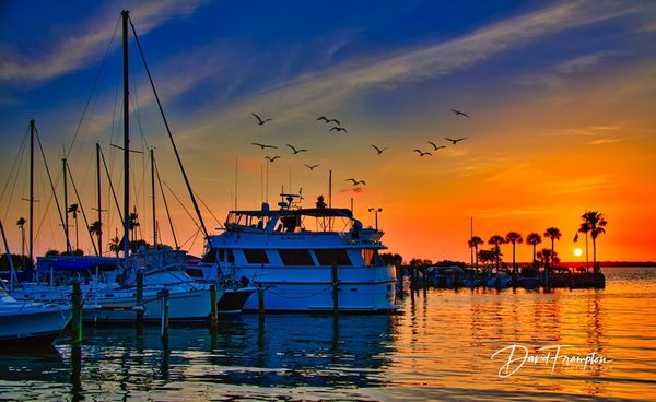 DUNEDIN MARINA - Updated May 2026 - 50 Photos & 10 Reviews - 158-180 ...