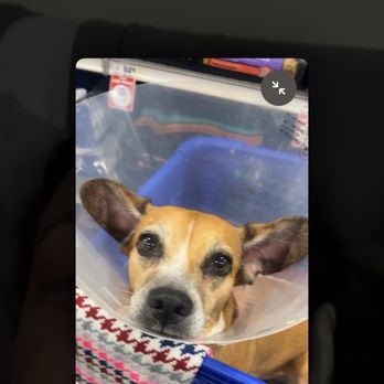 MICHAEL BUTCHKO, DVM - Updated July 2025 - 213 Photos & 537 Reviews ...