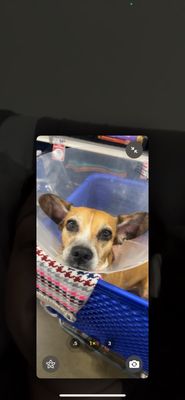 MICHAEL BUTCHKO, DVM - Updated December 2025 - 214 Photos & 541 Reviews ...