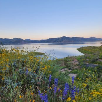 DIAMOND VALLEY LAKE MARINA - Updated December 2025 - 126 Photos & 66 ...