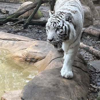 CALDWELL ZOO - Updated October 2025 - 440 Photos & 121 Reviews - 2203 W ...