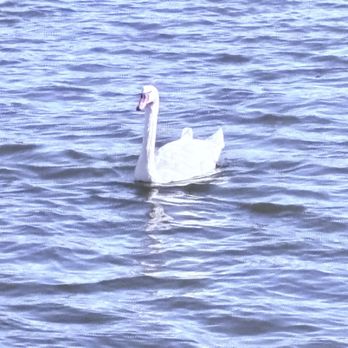 JAMES & MAIN - Updated July 2025 - 61 Photos & 47 Reviews - 1 Main St ...