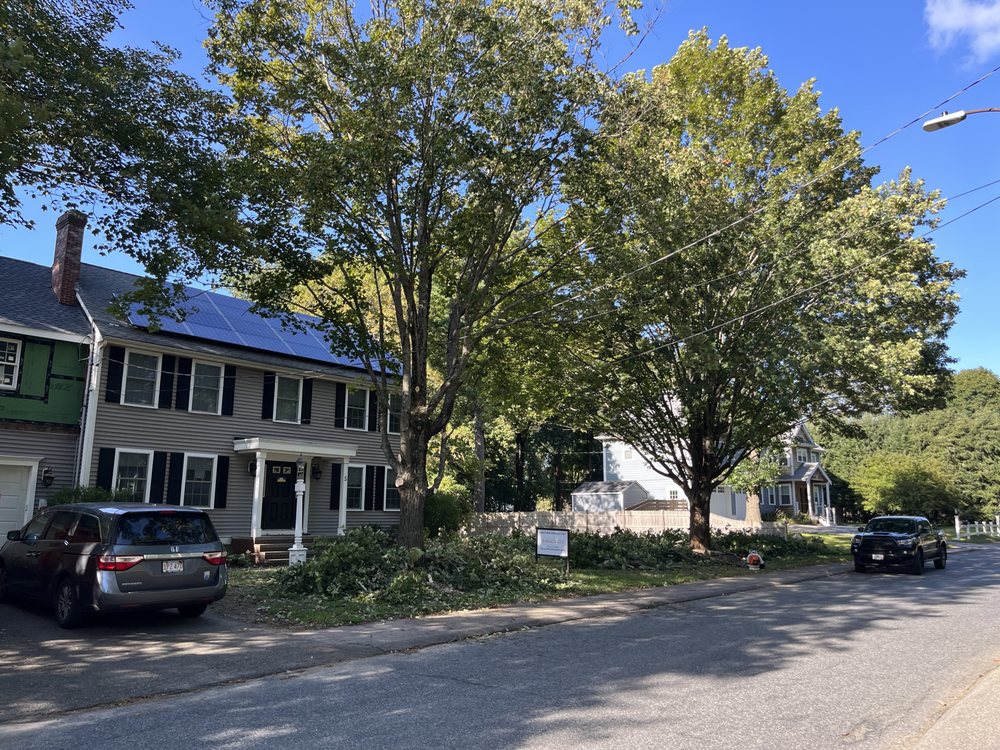 GREEN ARBOR TREE & PROPERTY - Updated November 2024 - 44 Photos ...