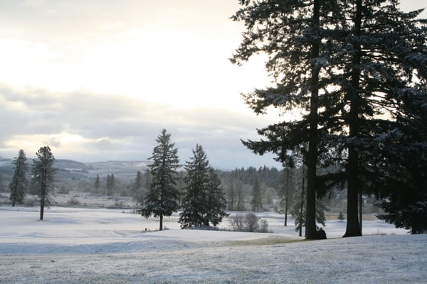 MALLARD CREEK GOLF COURSE - Updated December 2025 - 27 Photos & 20 ...