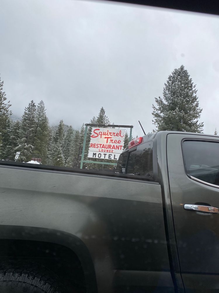 SQUIRREL TREE RESORT - Updated October 2024 - 52 Photos & 81 Reviews ...