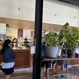 PITANGO BAKERY CAFE - Updated May 2025 - 642 Photos & 385 Reviews - 903 ...