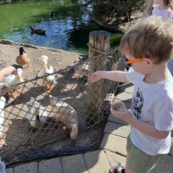 COSLEY ZOO - Updated January 2025 - 311 Photos & 147 Reviews - 1356 N ...