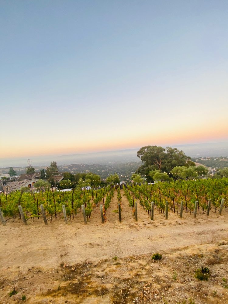 THE MOUNTAIN WINERY - 1533 Photos & 1204 Reviews - 14831 Pierce Rd ...