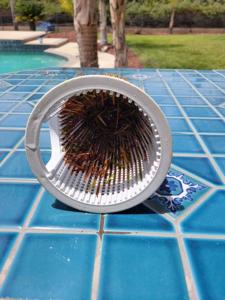 GATOR POOLS REPAIR & SERVICE - Updated September 2024 - Winchester ...