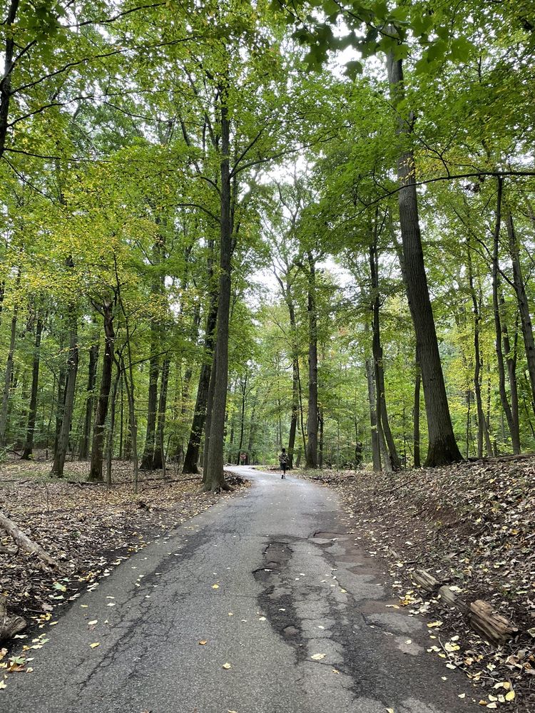 HIGH ROCK PARK - Updated October 2025 - 42 Photos & 10 Reviews - Manor ...