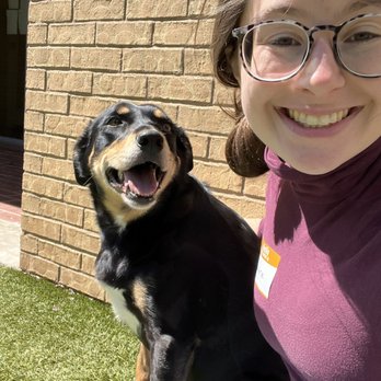 CITY OF DENTON ANIMAL SHELTER - Updated December 2025 - 32 Photos & 26 ...