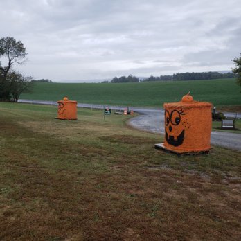 JUMBO’S PUMPKIN PATCH - Updated December 2025 - 60 Photos & 32 Reviews ...