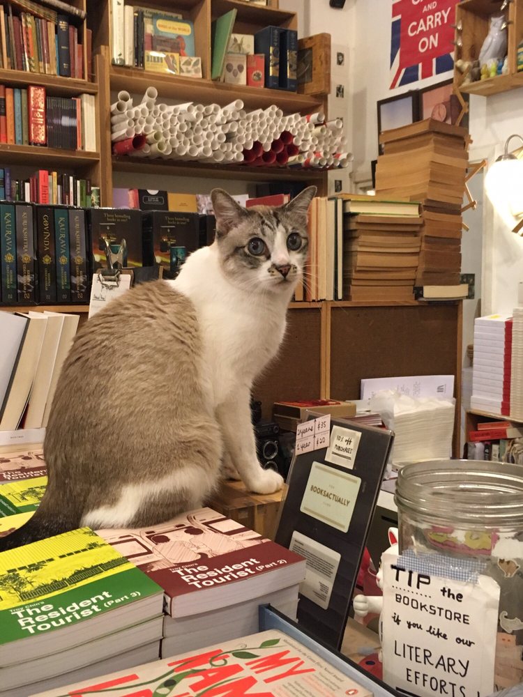 BOOKSACTUALLY - Updated January 2026 - 47 Photos & 17 Reviews - 9 Yong ...